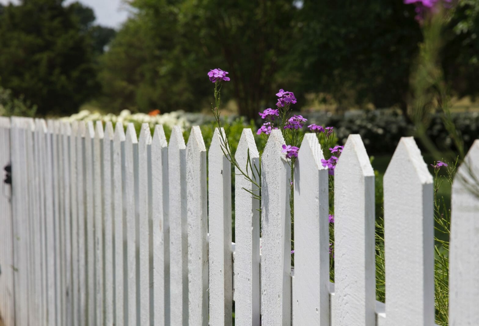 HOA Architectural Guidelines