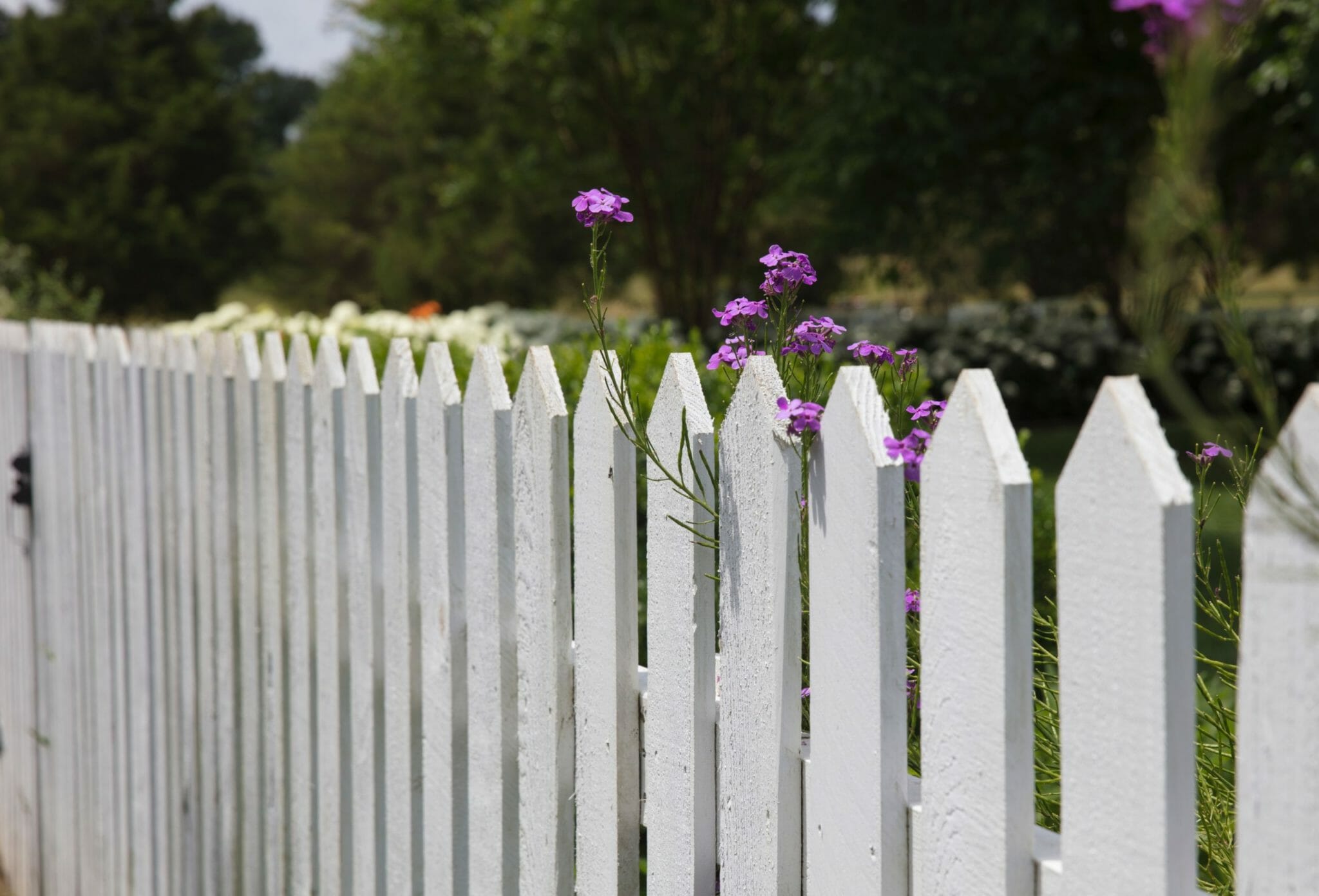 HOA architectural guidelines
